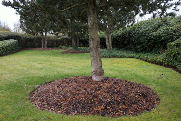 Depositphotos_346672312_s-2019 - Master Mark : Master Mark