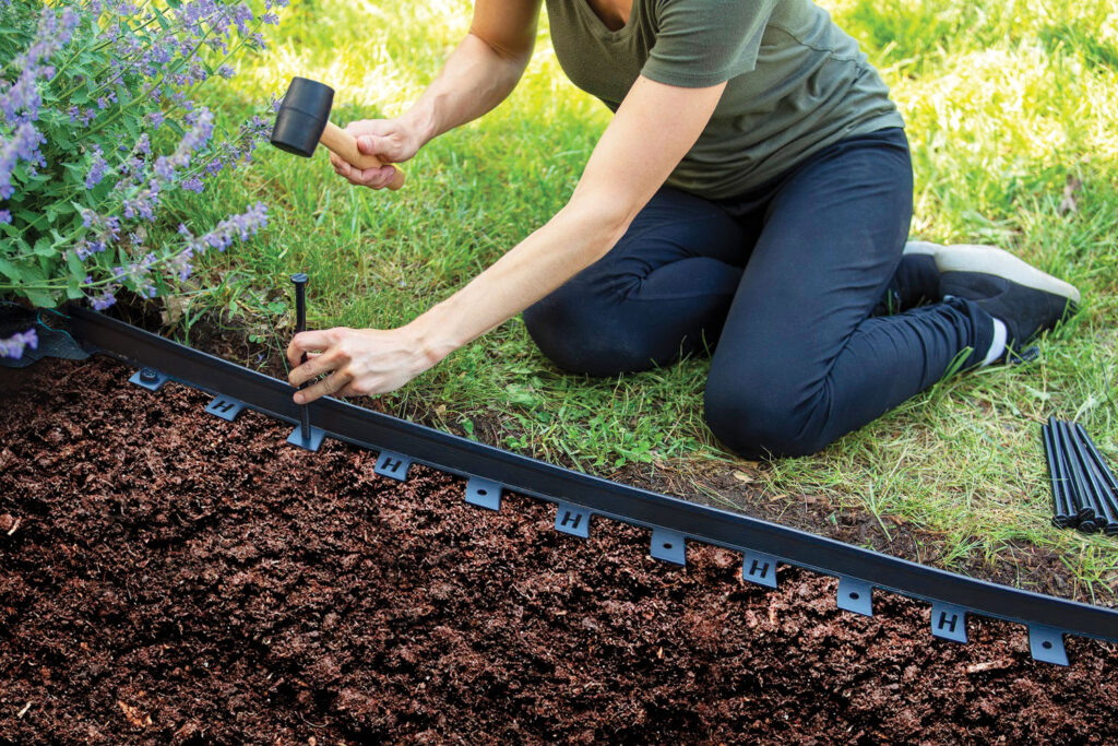 dig-free-page-1 - Master Mark : Master Mark